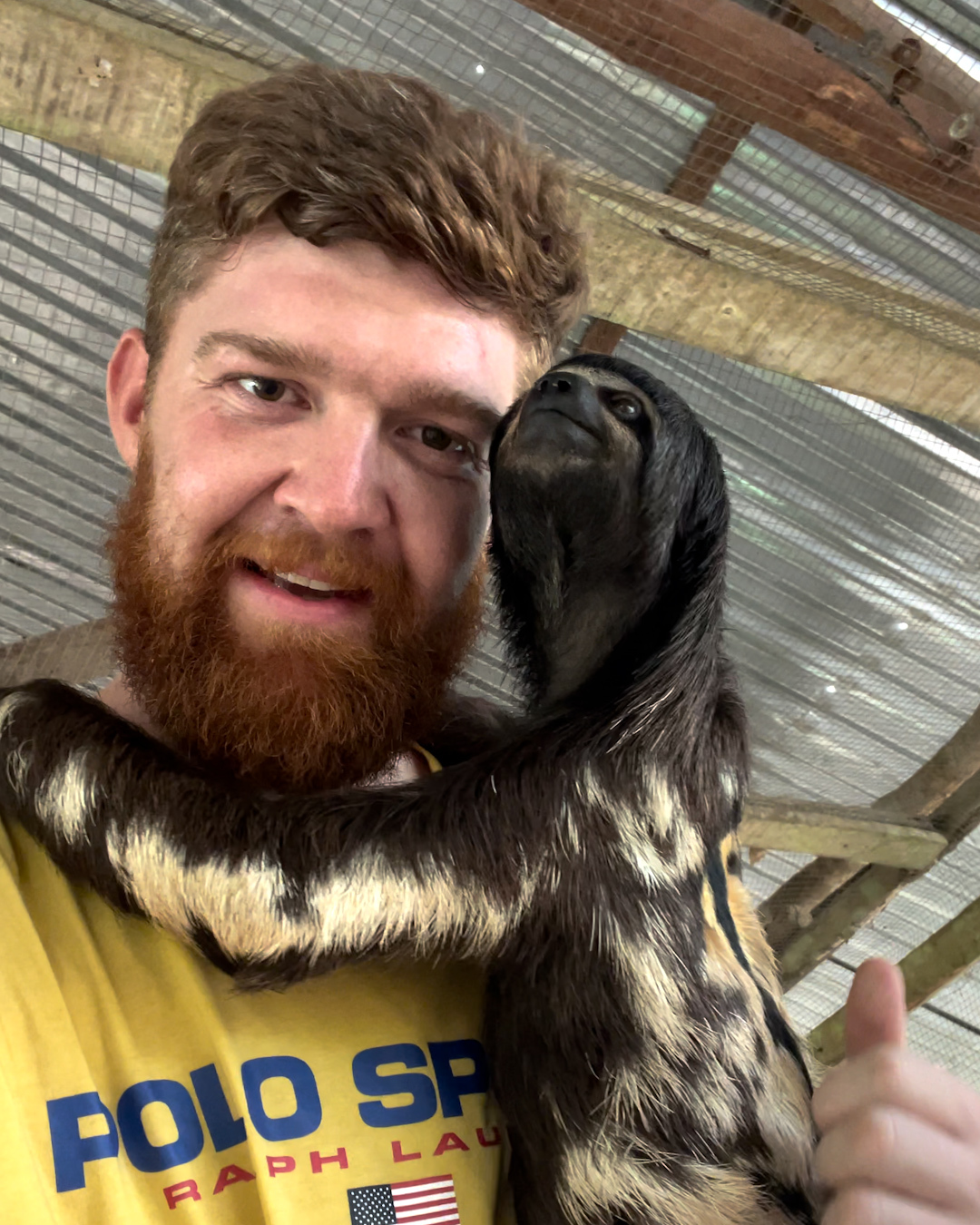 Becoming friends with sloth 🥺