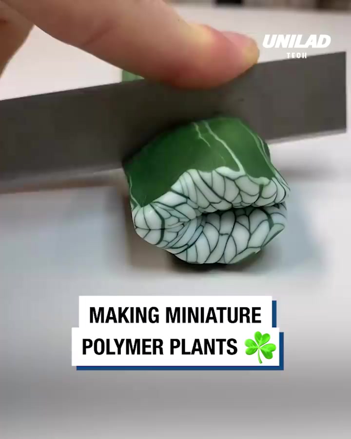 LADbible Video hub - Making Mini Polymer Plants