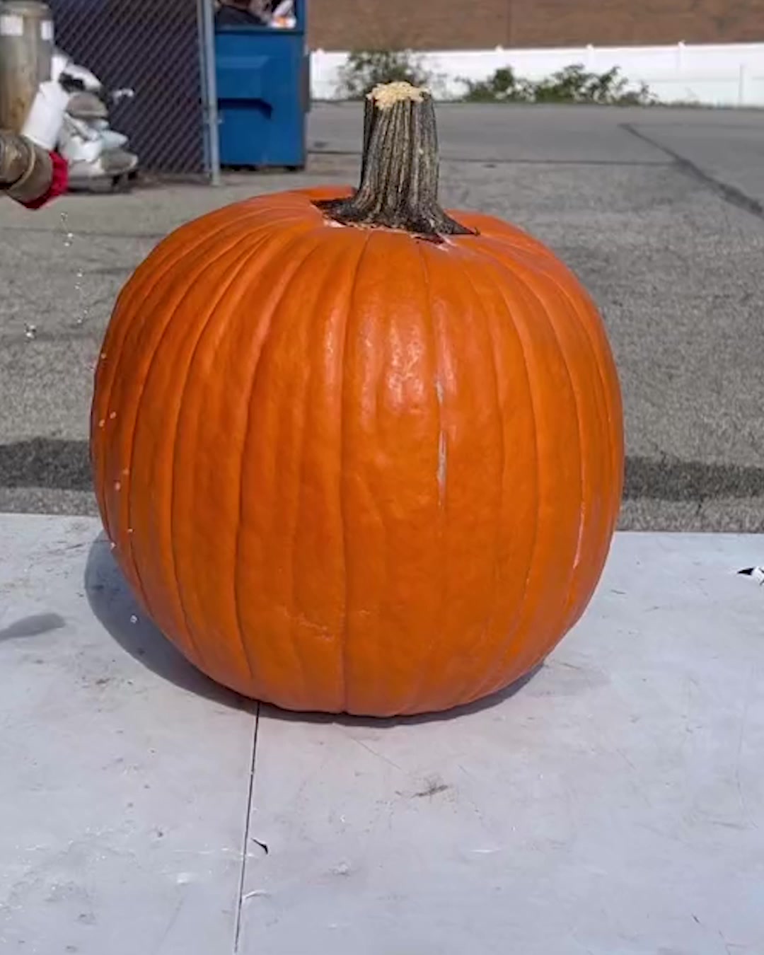 LADbible Video hub - Carving Pumpkins With A Pressure Washer 🎃 😳