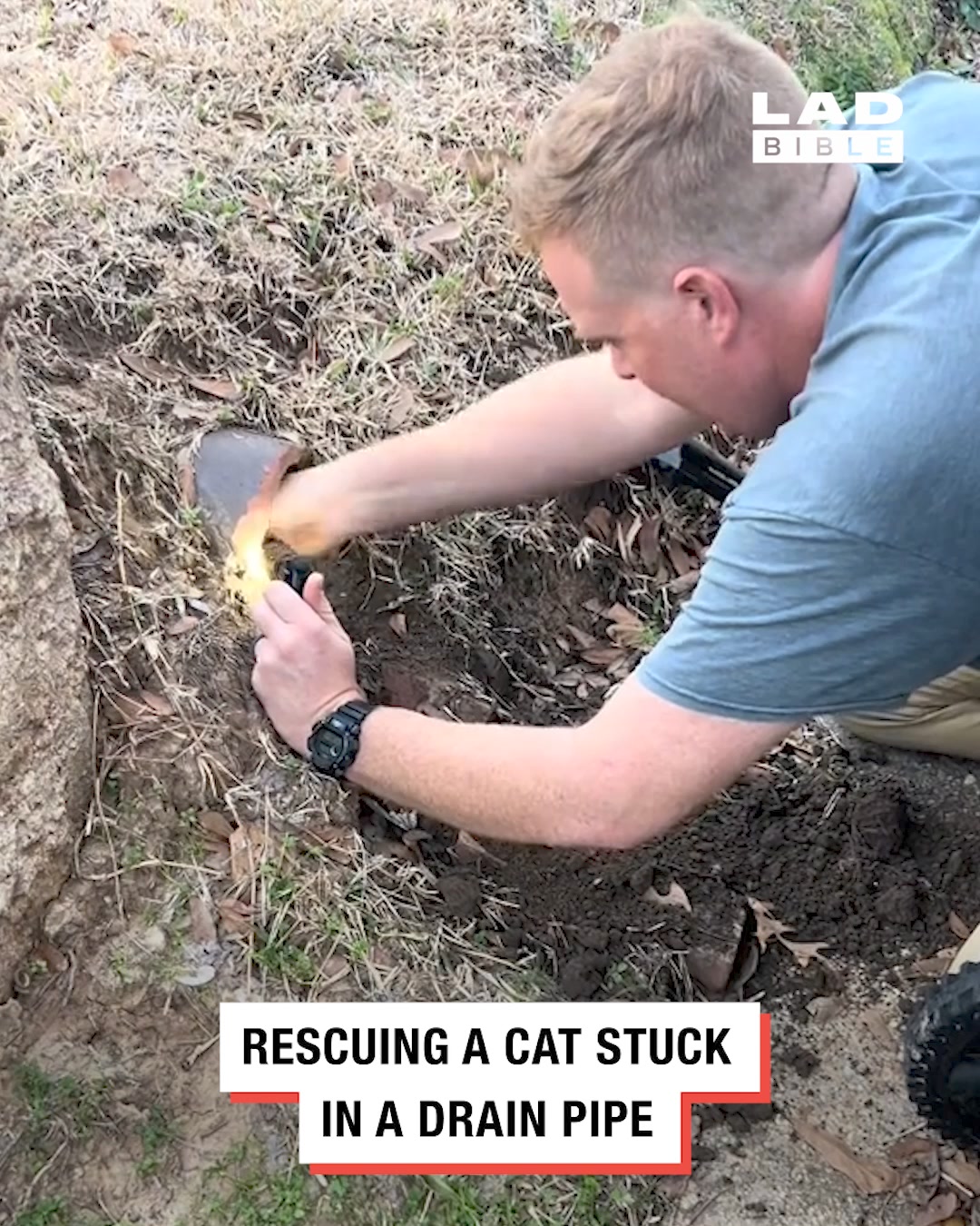 LADbible Video hub - Cat Gets Stuck In Pipe