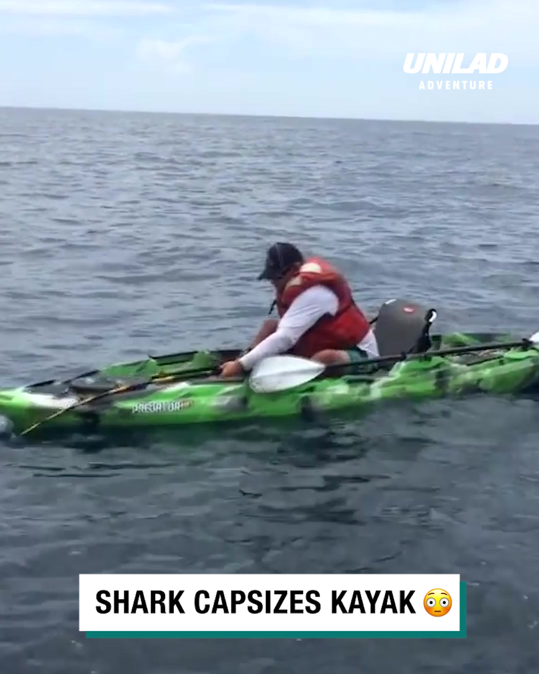 LADbible Video hub - Shark Capsizes Kayak