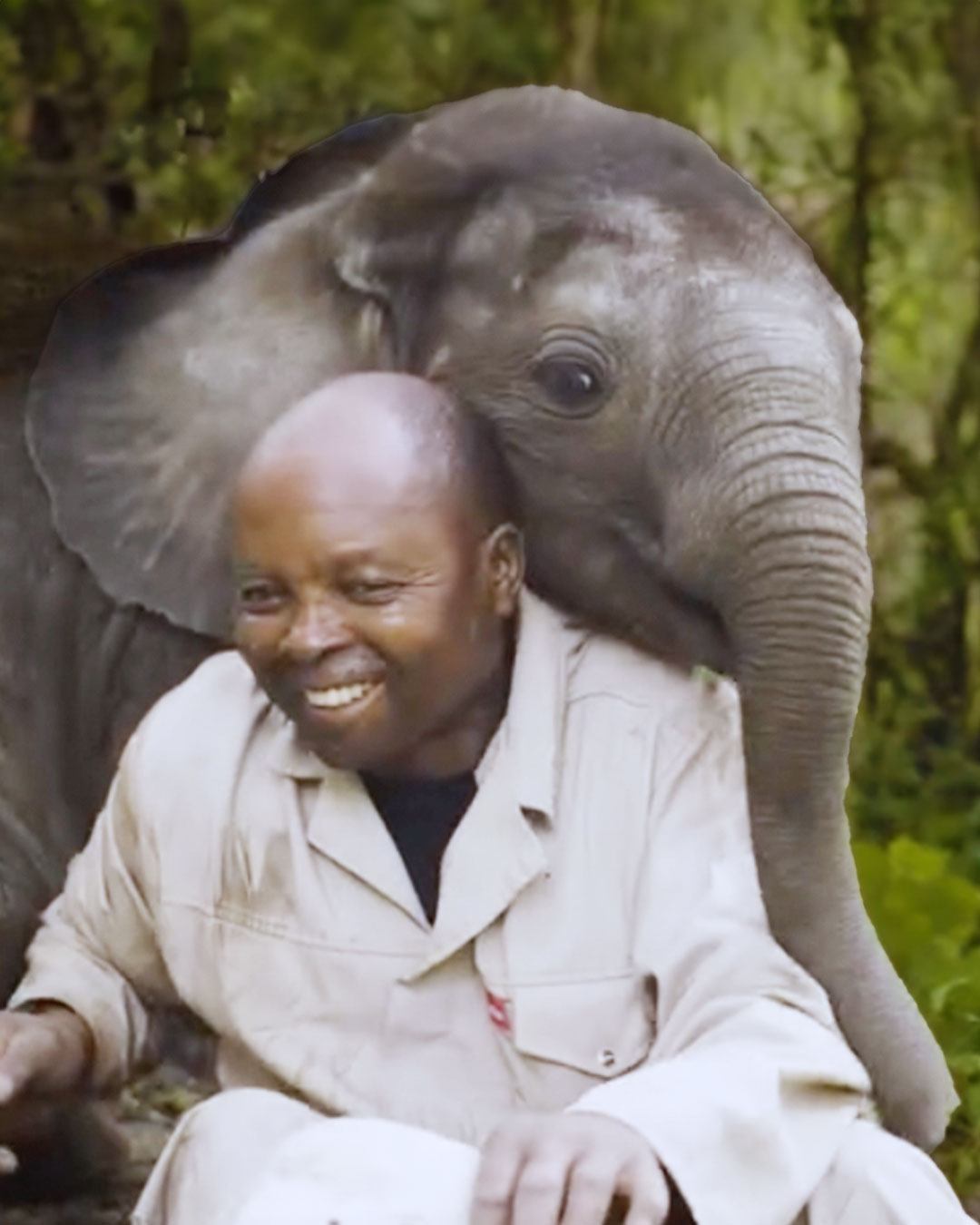 LADbible Video hub - Young Elephant Interrupts An Interview