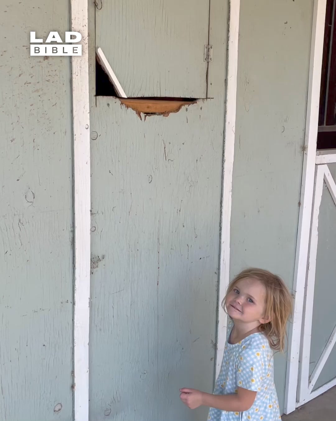 LADbible Video hub - You'll never guess who answered...